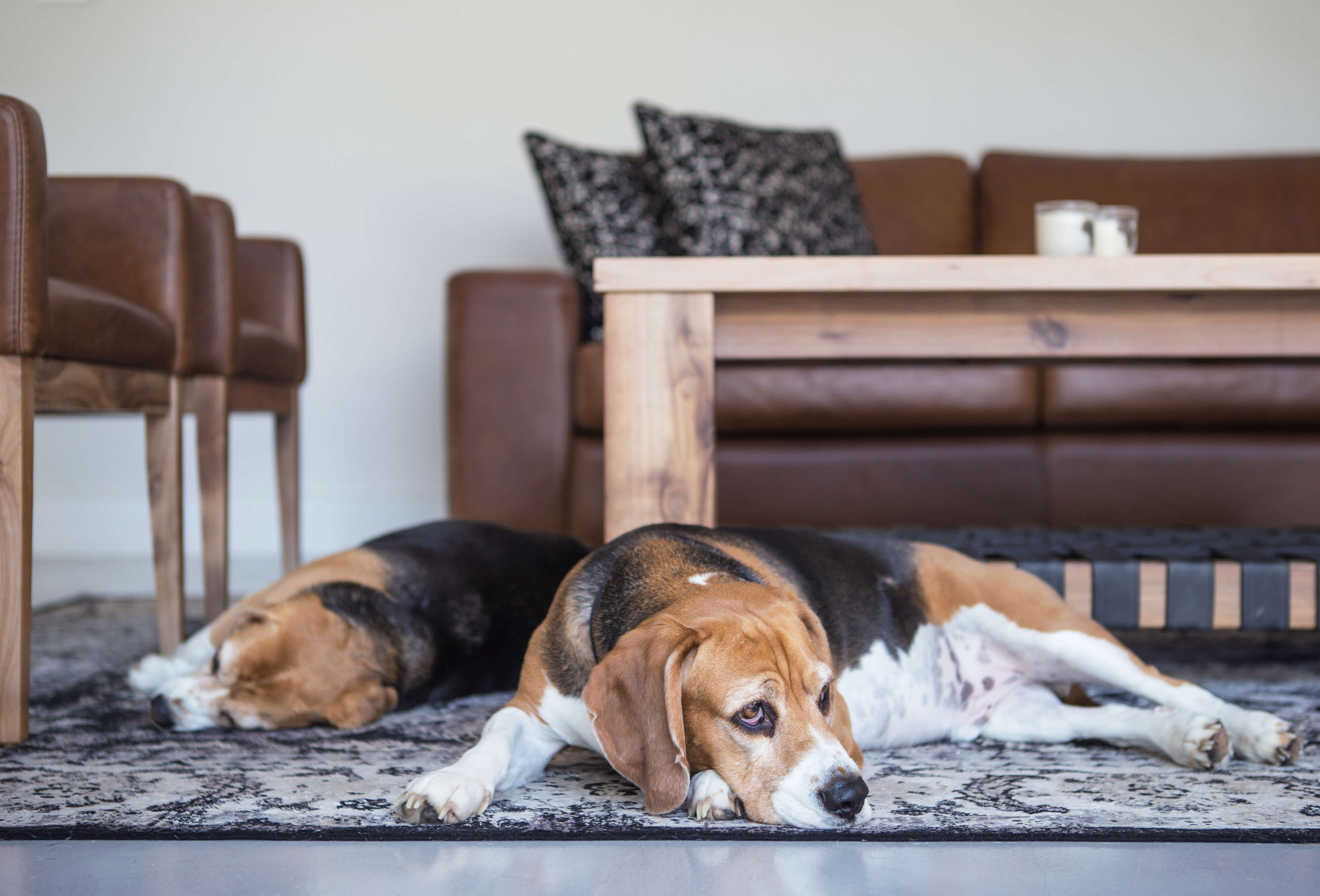 JS Architects - Jozef Smit Professional Architect